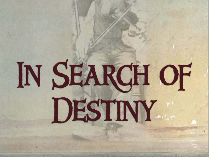 In Search of Destiny - Derinda Babcock
